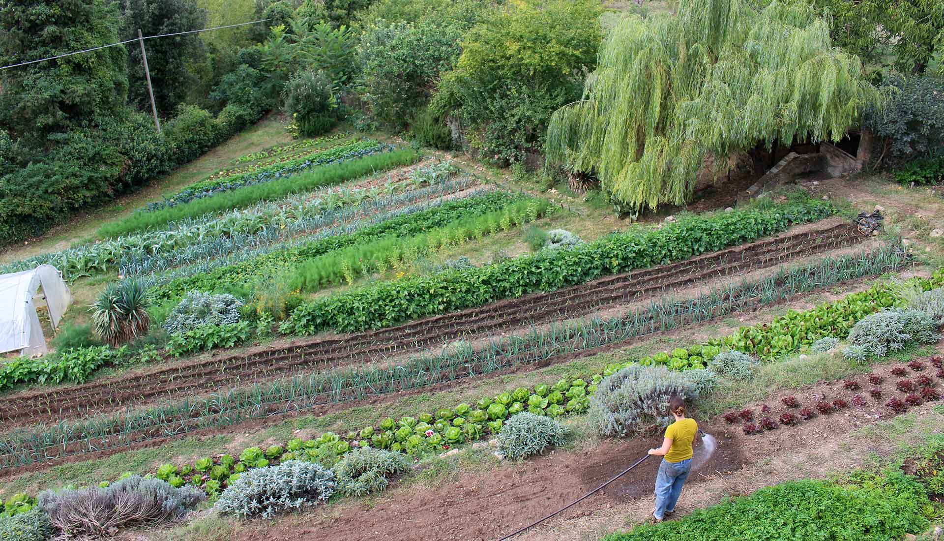 Organic Farm Internship in Tuscany - Friends of Spannocchia