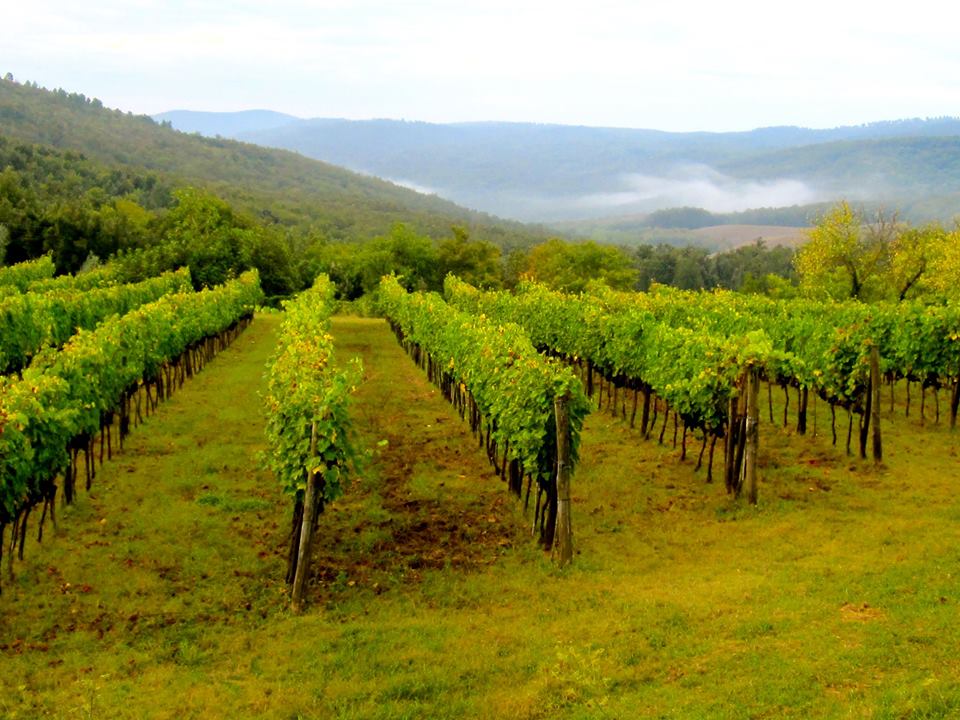 Watercolor Plein Air in Tuscany with Doris Rice - Friends of Spannocchia