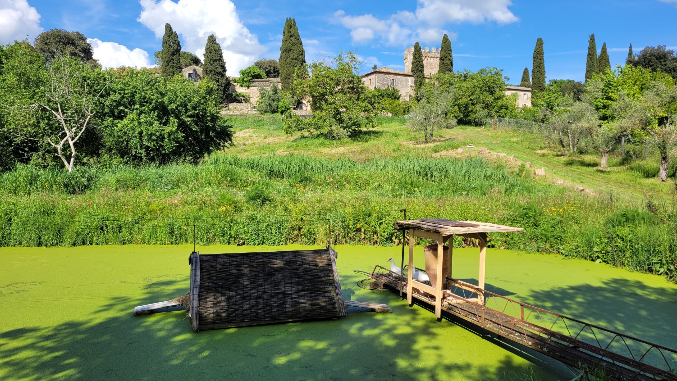 Membership & Giving - Randall Memorial Fund - Friends of Spannocchia